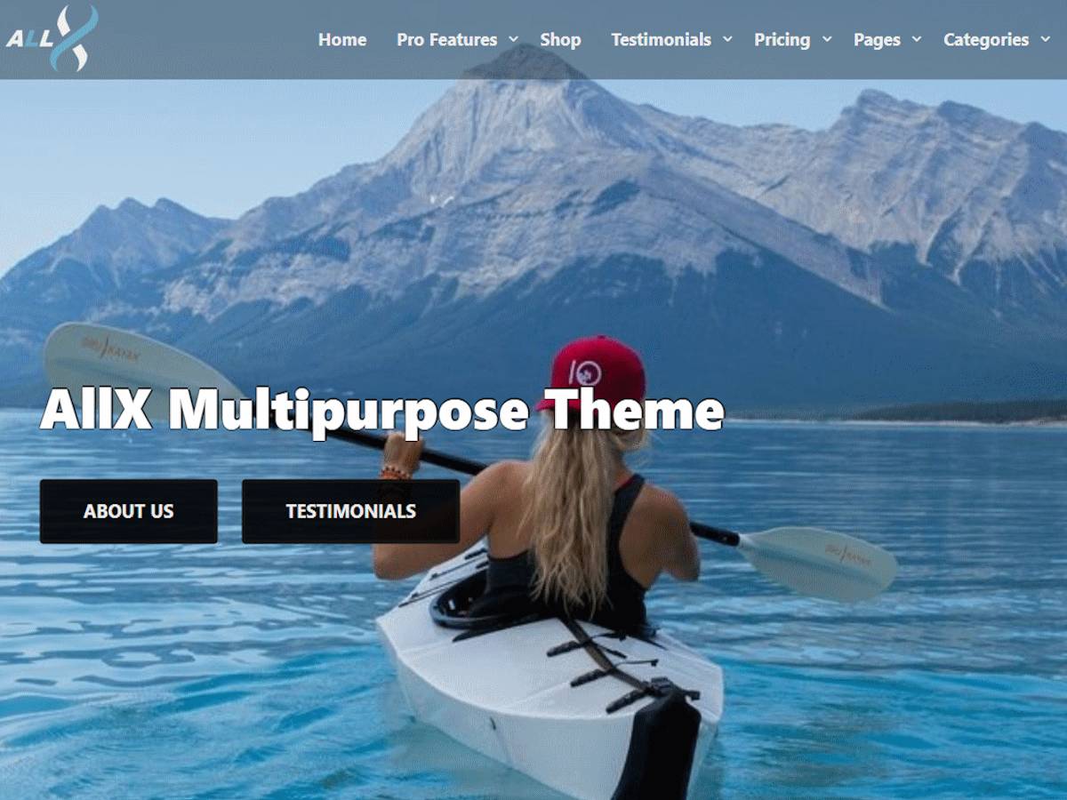 AllX Wordpress Theme - VineThemes