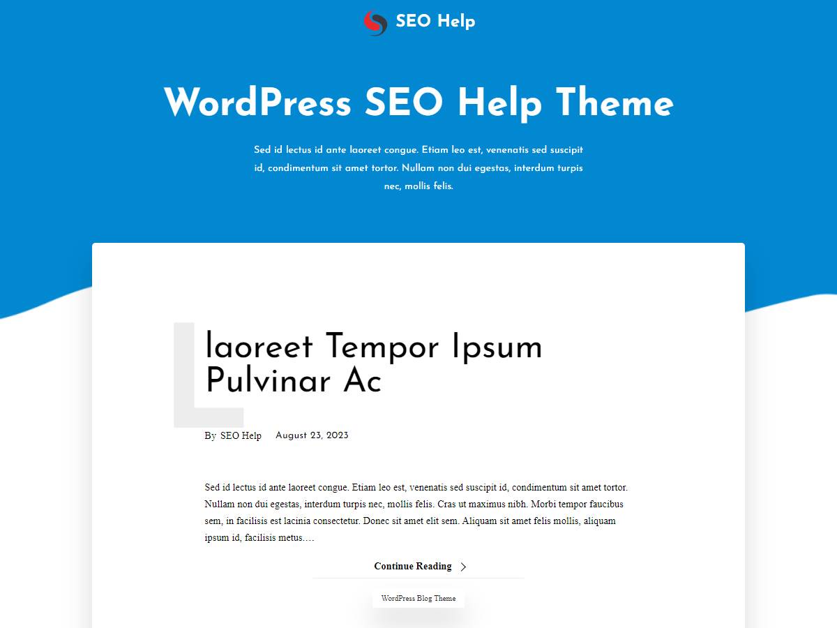 SEO Help Wordpress Theme - VineThemes